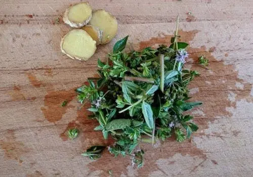 How to Make an Herbal Steam for Congestion and Allergies - The Lost Herbs