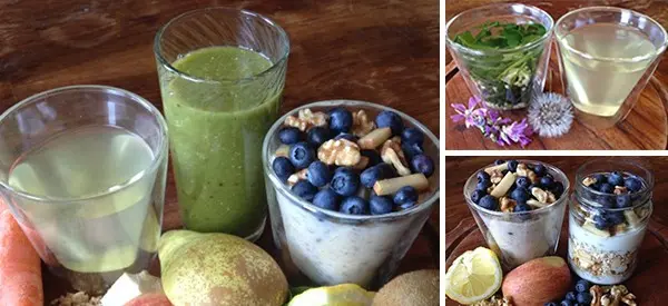 10 Herbs for Colon Cleanse - The Lost Herbs