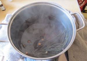 How to Make an Herbal Steam for Congestion and Allergies - The Lost Herbs