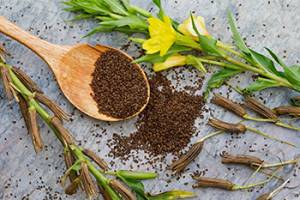 How to Treat Gastrointestinal Disorders With Evening Primrose - The ...