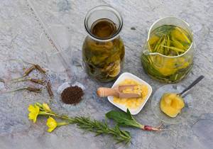 How to Treat Gastrointestinal Disorders With Evening Primrose - The ...
