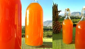 How To Make Your Own Probiotics - The Lost Herbs