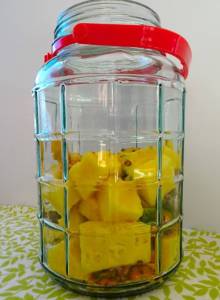 How To Make Your Own Probiotics - The Lost Herbs
