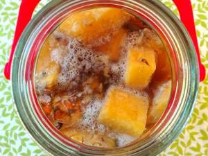 How To Make Your Own Probiotics - The Lost Herbs