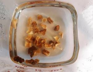 Chicory - The Lost Herbs