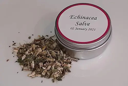 Echinacea - The Lost Herbs