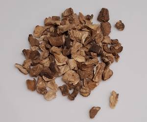 Chicory - The Lost Herbs