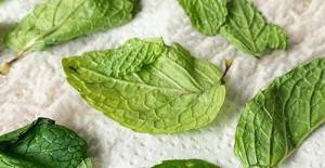 Peppermint - The Lost Herbs