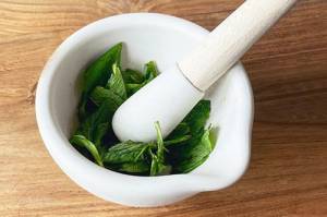 Peppermint - The Lost Herbs
