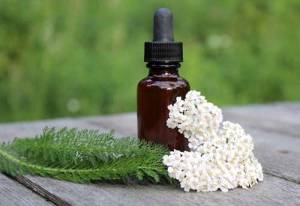 Yarrow - The Lost Herbs