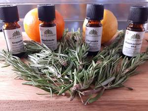 DIY Anti-Cellulite Body Cream - The Lost Herbs