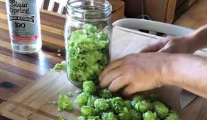 Hops - The Lost Herbs