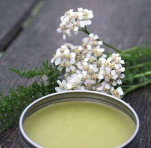 50 Ways to Use Yarrow - The Lost Herbs