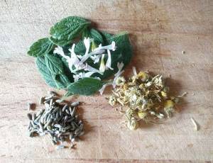 Homemade Sleepy Time Elixir - The Lost Herbs