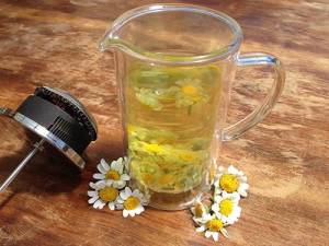 DIY Natural Tick and Flea Repellent For Pets - The Lost Herbs