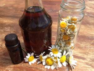 DIY Natural Tick and Flea Repellent For Pets - The Lost Herbs