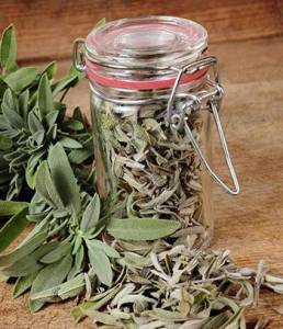 Sage - The Lost Herbs