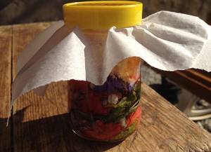 How To Make a Tincture Using Apple Cider Vinegar Instead of Alcohol ...