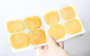 DIY Medicinal Mustard Plaster - The Lost Herbs