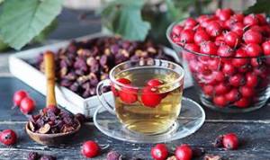 Hawthorn - The Lost Herbs