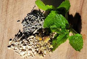 Anti-Anxiety Elixir - The Lost Herbs