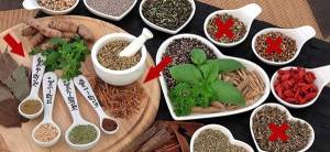 Foods And Herbs That Increase Libido and Others That Kill It - The Lost ...