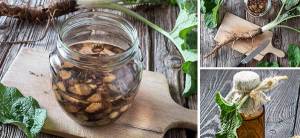 How to Make a Burdock Tincture - The Lost Herbs