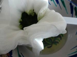 DIY Chlorophyll Extract - The Lost Herbs