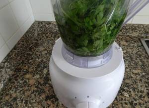 DIY Chlorophyll Extract - The Lost Herbs