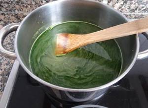 DIY Chlorophyll Extract - The Lost Herbs