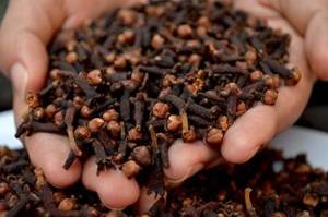 Winter Miracle Tea - The Lost Herbs