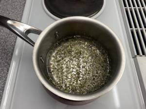 Plantain - The Lost Herbs