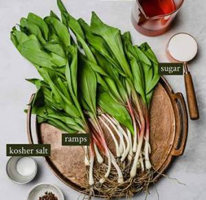 Ramps: The Most Delicious Signs of Spring - The Lost Herbs