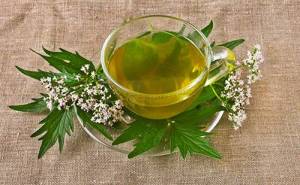 Valerian - The Lost Herbs