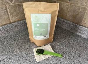 Nettle - The Lost Herbs
