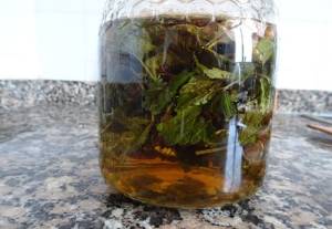 DIY Spring Fever Tincture - The Lost Herbs