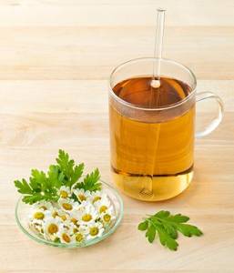 Feverfew - The Complete Guide to Nature's Migraine Remedy - The Lost Herbs