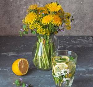 50 Recipes Using Dandelion - The Lost Herbs