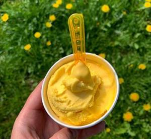 50 Recipes Using Dandelion - The Lost Herbs