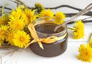50 Recipes Using Dandelion - The Lost Herbs