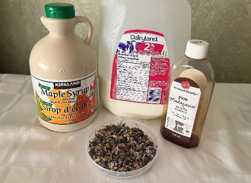 Sweet Violet - The Lost Herbs