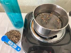 Black Cohosh - The Lost Herbs