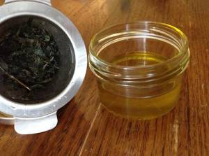 How To Make Peppermint Oil At Home - The Lost Herbs