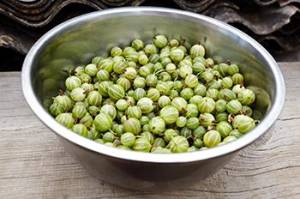 Gooseberry: This Once-Banned Berry Helps People With Diabetes - The ...