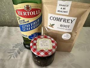 Comfrey - The Lost Herbs