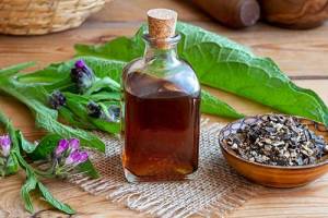 Comfrey - The Lost Herbs