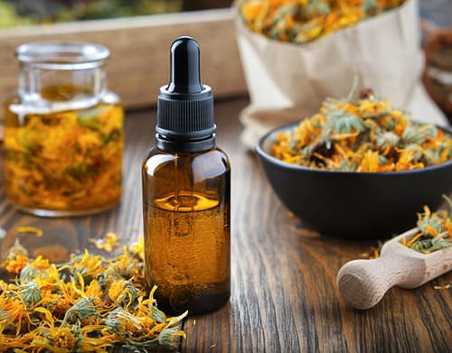 Marigold - The Lost Herbs