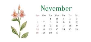 Foraging Calendar: What to Forage in November - The Lost Herbs