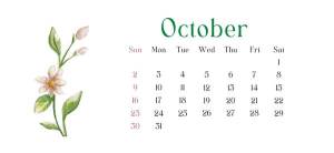 Foraging Calendar: What to Forage in October - The Lost Herbs