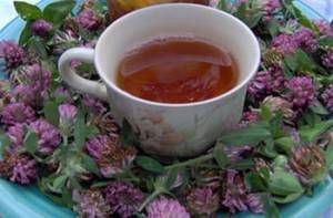 The Amish Herbal Remedies You Should Know - The Lost Herbs